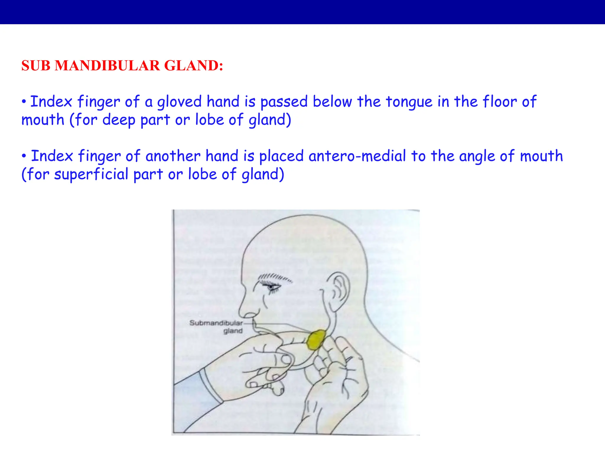 SALIVARY GLAND DISORDERS and their management | PPTX