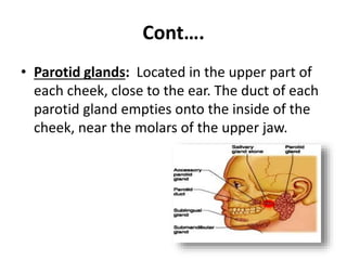 Salivary gland disorders (1) | PPTX