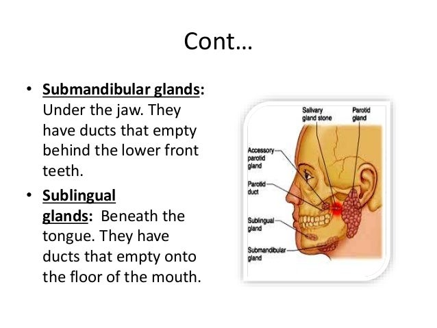 Salivary gland disorders (1)
