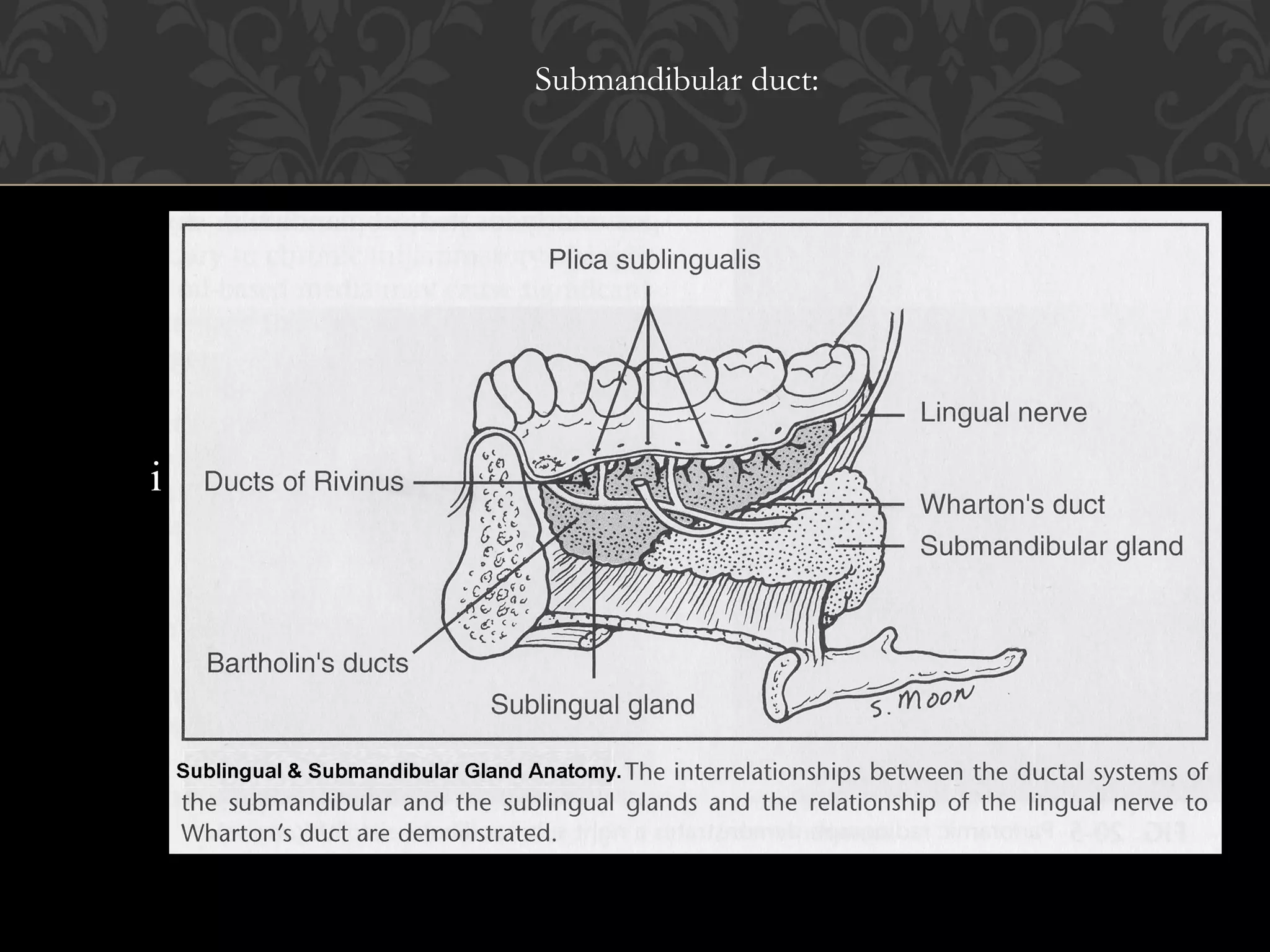 Salivary gland disorders final | PPT