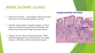 Salivary gland disorders, xerostomia | PPTX