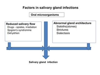 Salivary gland infections | PDF