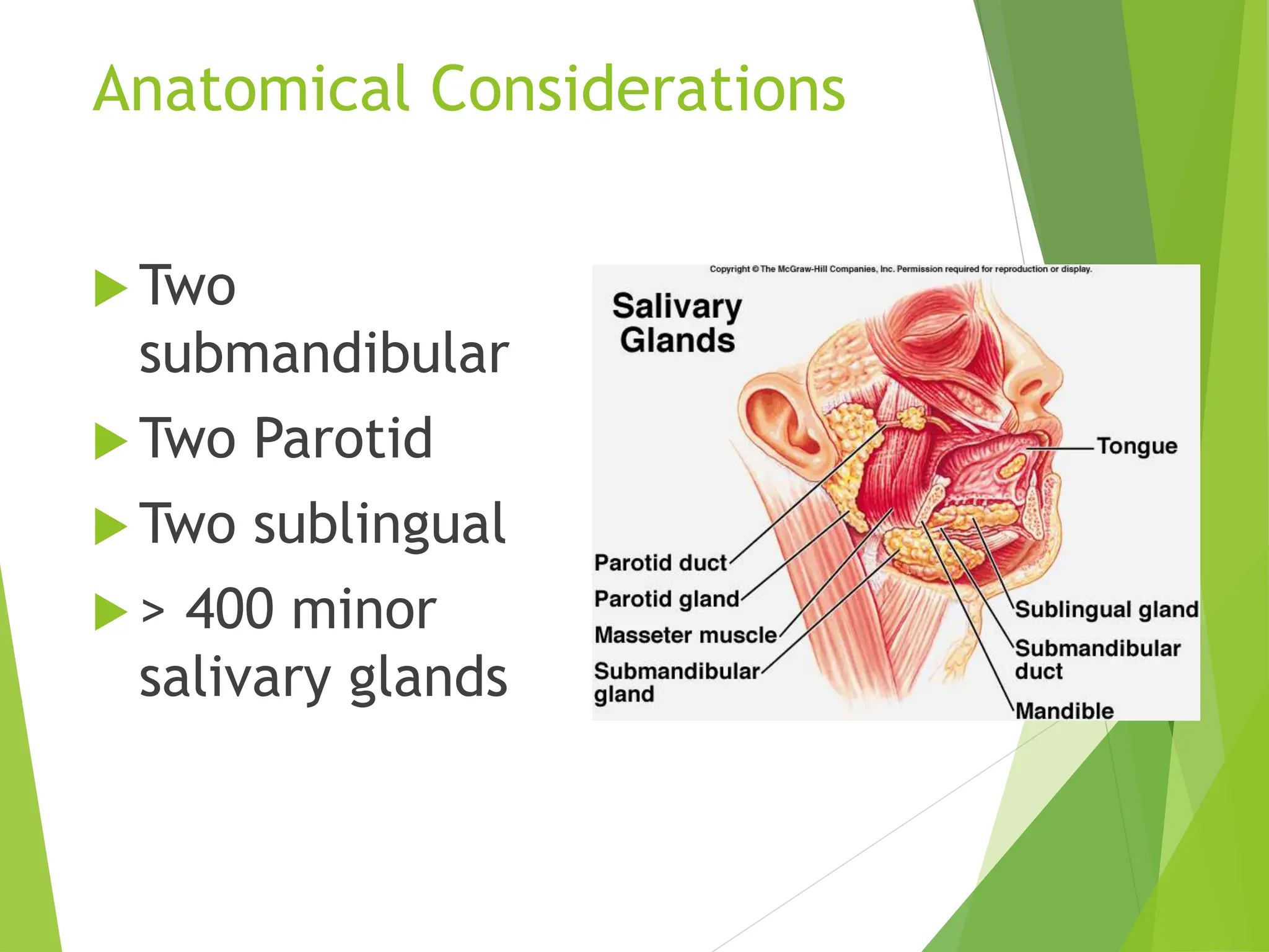 salivary gland investigation and management.ppt