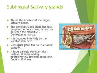 salivary gland investigation and management.ppt