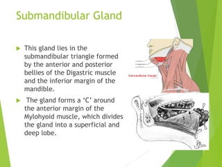 salivary gland investigation and management.ppt