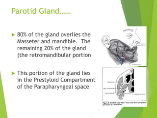salivary gland investigation and management.ppt