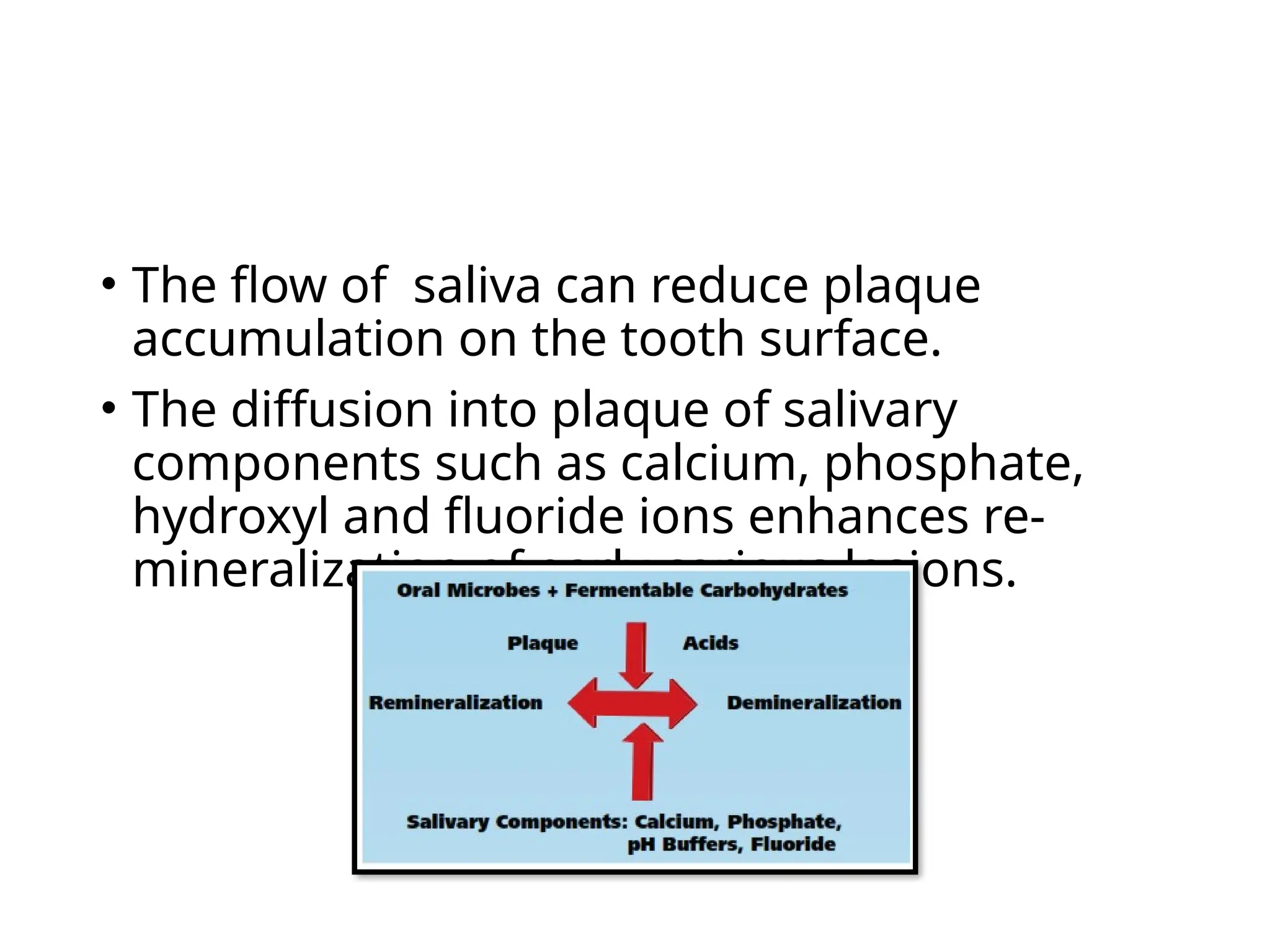 SALIVARY GLAND ORAL BIO.pptx SALIVARY GLAND ORAL BIO.pptx