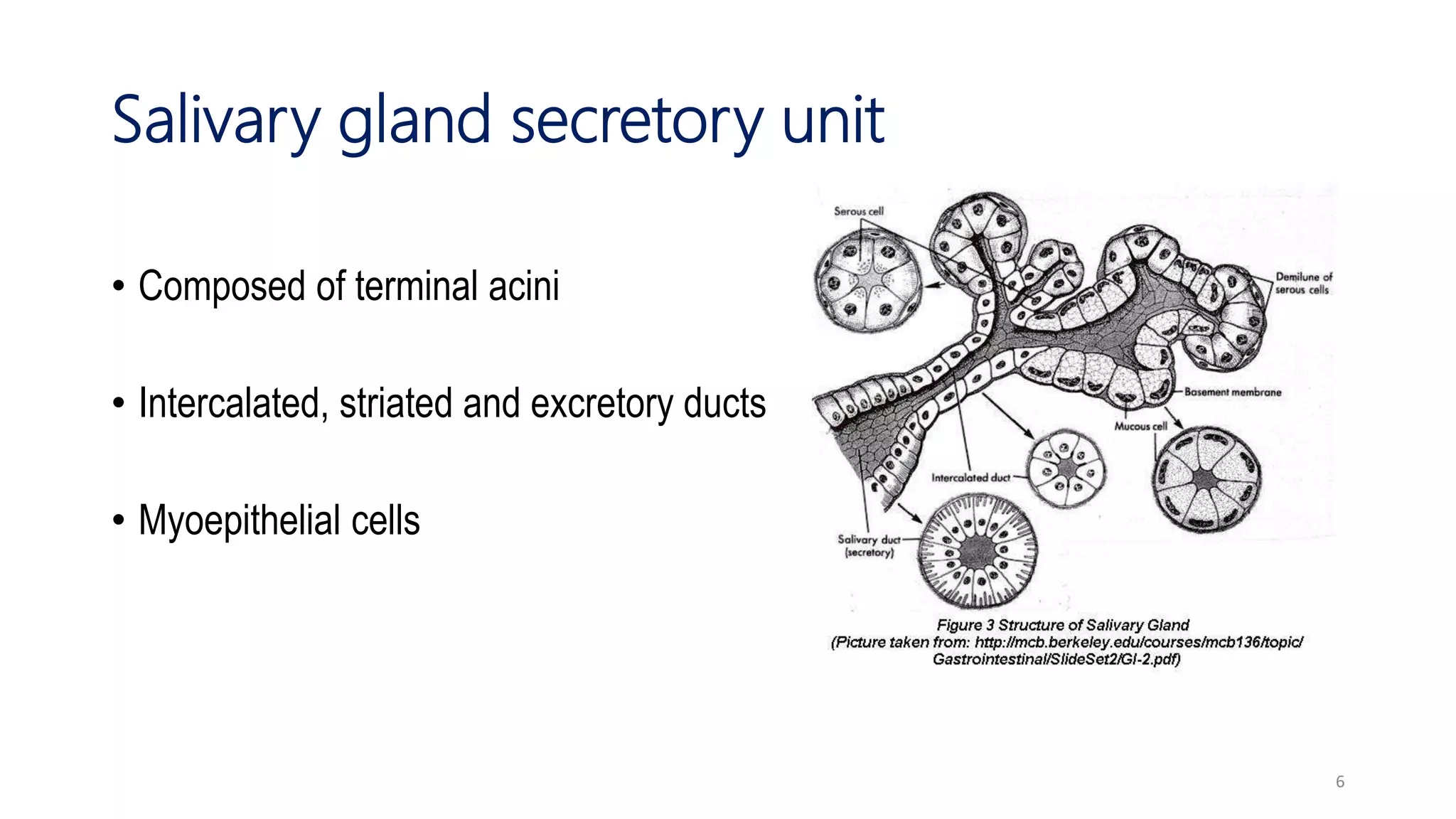 Salivary gland pathology | PPTX