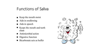 Physiology of Salivary gland ppt | PPTX