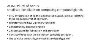 Physiology of Salivary gland ppt | PPTX