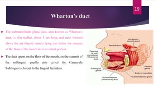 Salivary gland ppt | PPTX