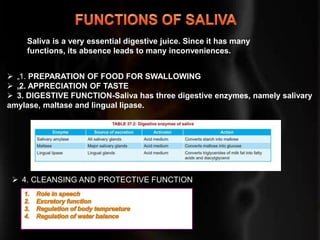 SALIVARY GLAND PPT.pptx