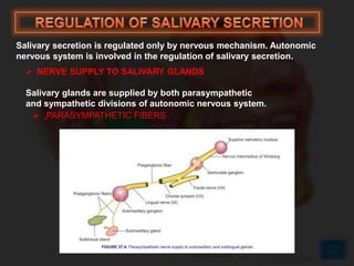 SALIVARY GLAND PPT.pptx