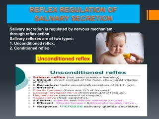 SALIVARY GLAND PPT.pptx