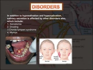 SALIVARY GLAND PPT.pptx