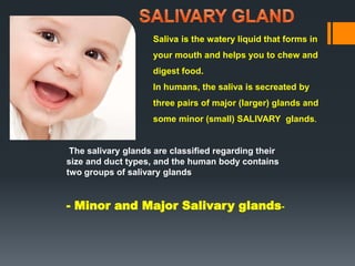 SALIVARY GLAND PPT.pptx