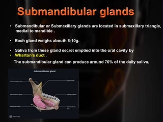 SALIVARY GLAND PPT.pptx