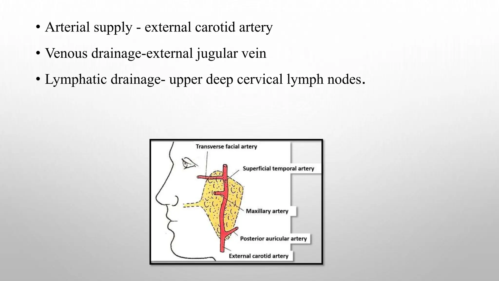 SALIVARY GLAND, SALIVA, PATHOLOGY OF SALIVA | PPTX
