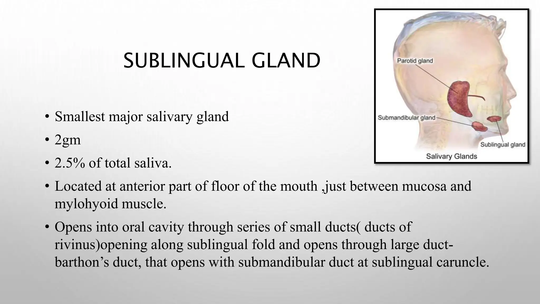 SALIVARY GLAND, SALIVA, PATHOLOGY OF SALIVA | PPTX