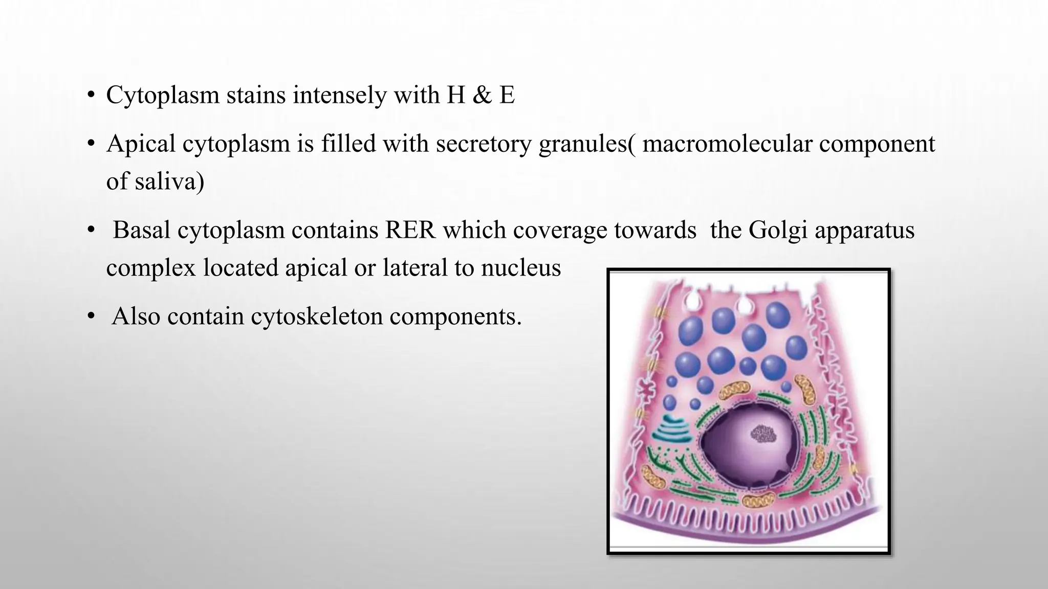 SALIVARY GLAND, SALIVA, PATHOLOGY OF SALIVA | PPTX