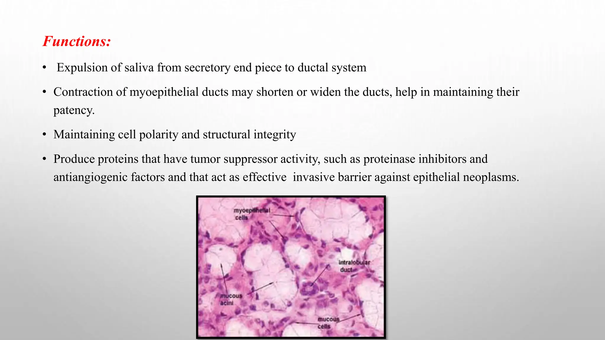 SALIVARY GLAND, SALIVA, PATHOLOGY OF SALIVA | PPTX