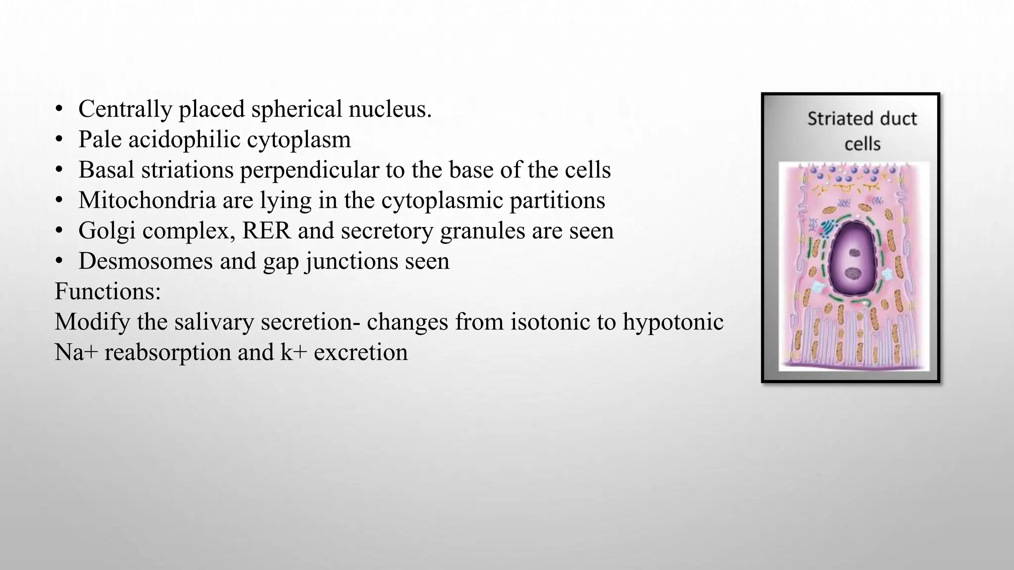 SALIVARY GLAND, SALIVA, PATHOLOGY OF SALIVA | PPTX
