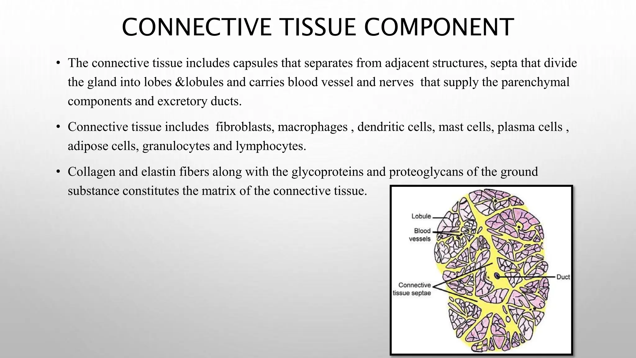 SALIVARY GLAND, SALIVA, PATHOLOGY OF SALIVA | PPTX