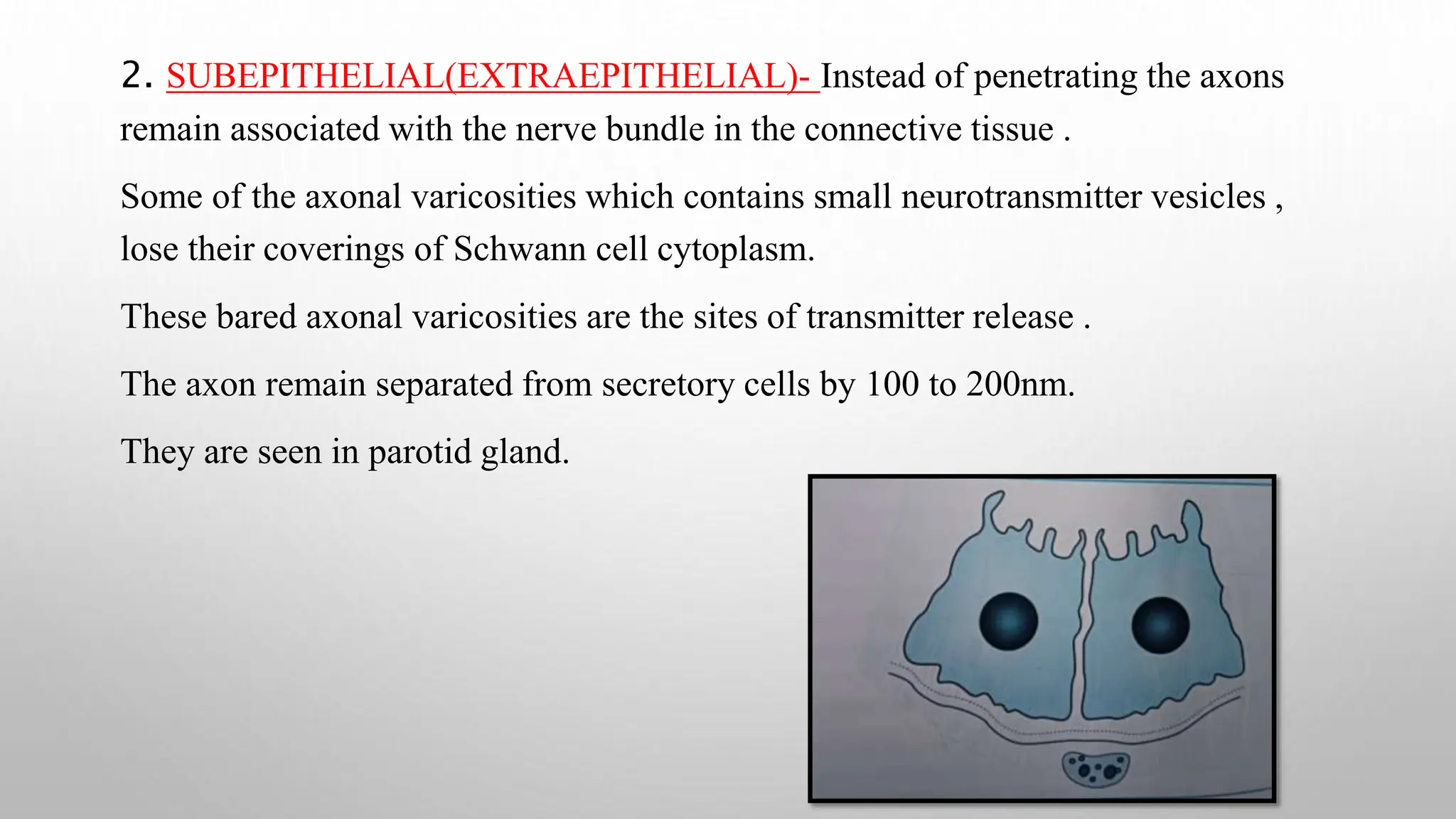 SALIVARY GLAND, SALIVA, PATHOLOGY OF SALIVA | PPTX