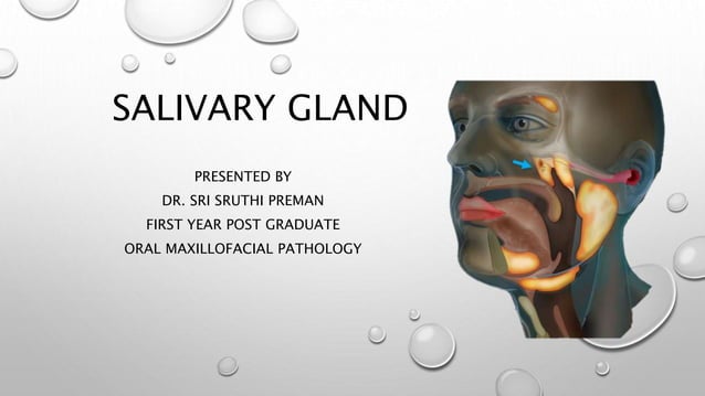 SALIVARY GLAND, SALIVA, PATHOLOGY OF SALIVA | PPT