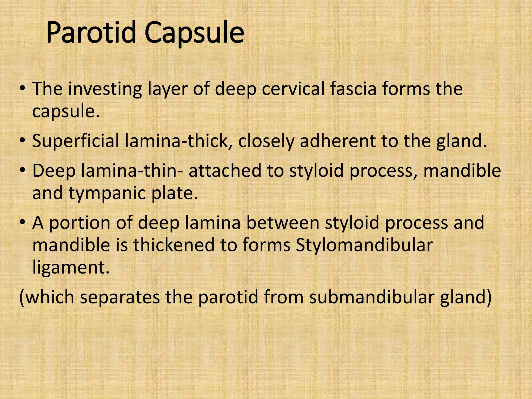Salivary gland ppt - Kanato Assumi | PPTX