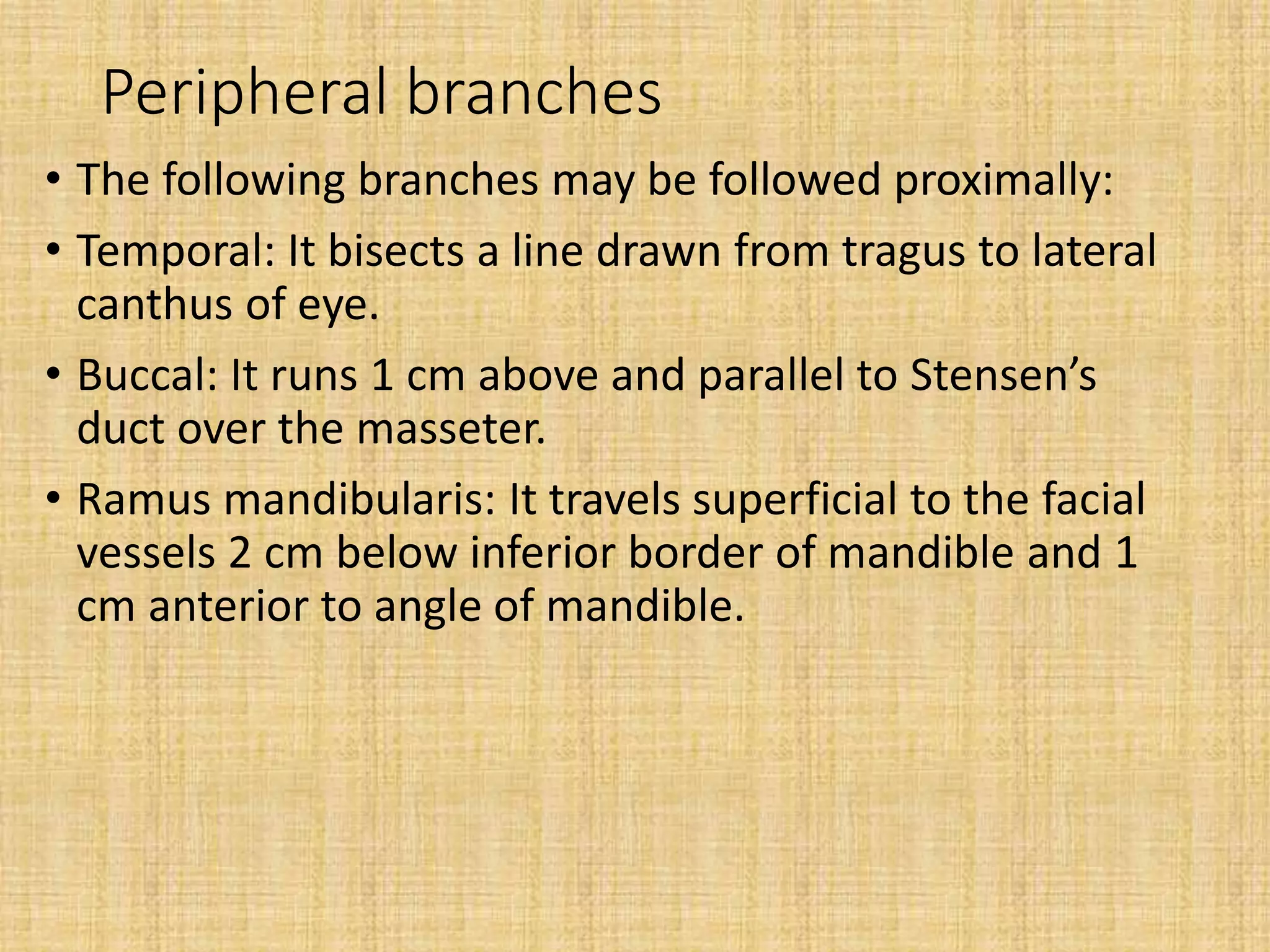 Salivary gland ppt - Kanato Assumi | PPTX