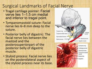 Salivary gland ppt - Kanato Assumi | PPTX