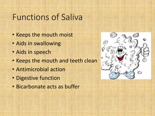 Salivary gland ppt - Kanato Assumi | PPTX