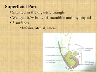 Salivary gland ppt - Kanato Assumi | PPTX