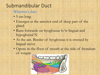 Salivary gland ppt - Kanato Assumi | PPTX