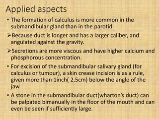 Salivary gland ppt - Kanato Assumi | PPTX