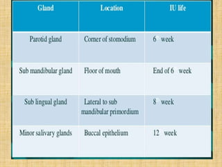 Salivary gland ppt - Kanato Assumi | PPTX
