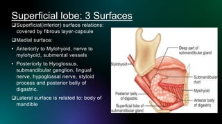 disorders of Salivary gland ppt | PPTX