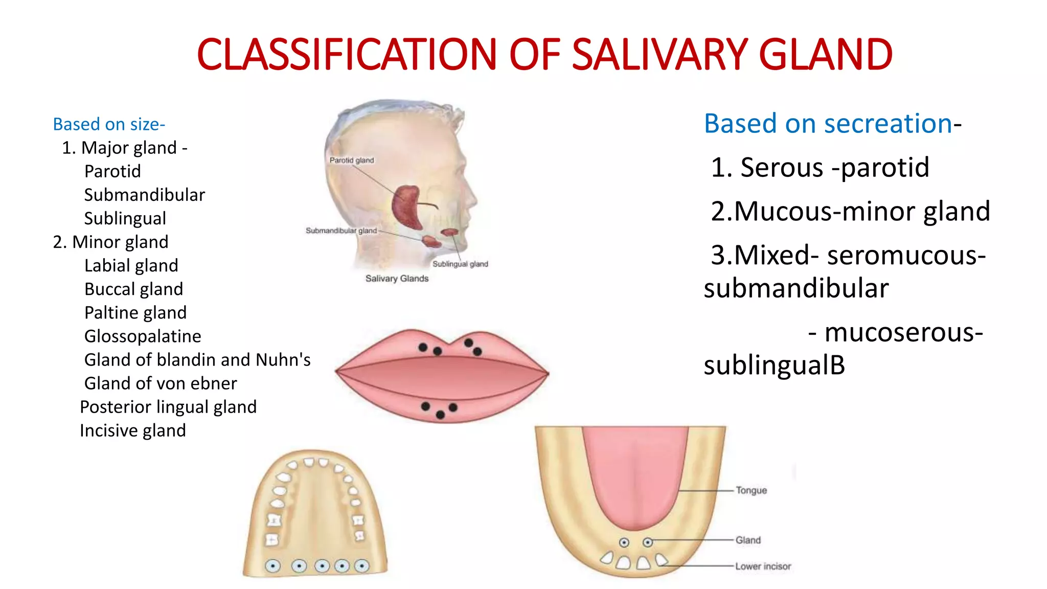 Salivary gland , its disorder and imaging techniques. | PPTX