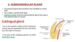 Salivary gland , its disorder and imaging techniques. | PPTX