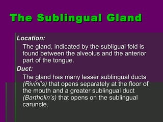 Salivary glands | PPT