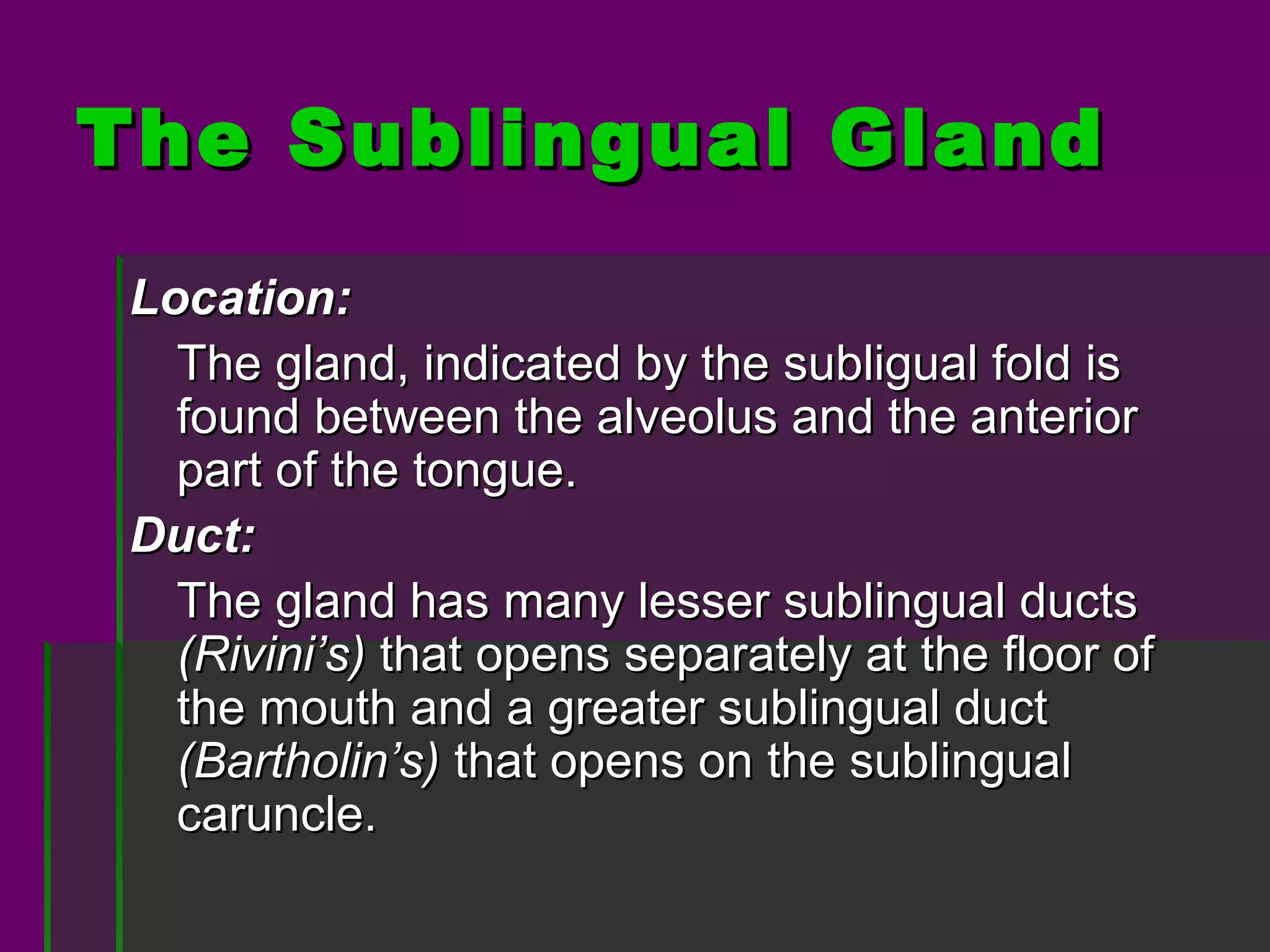 Salivary Glands | PPT