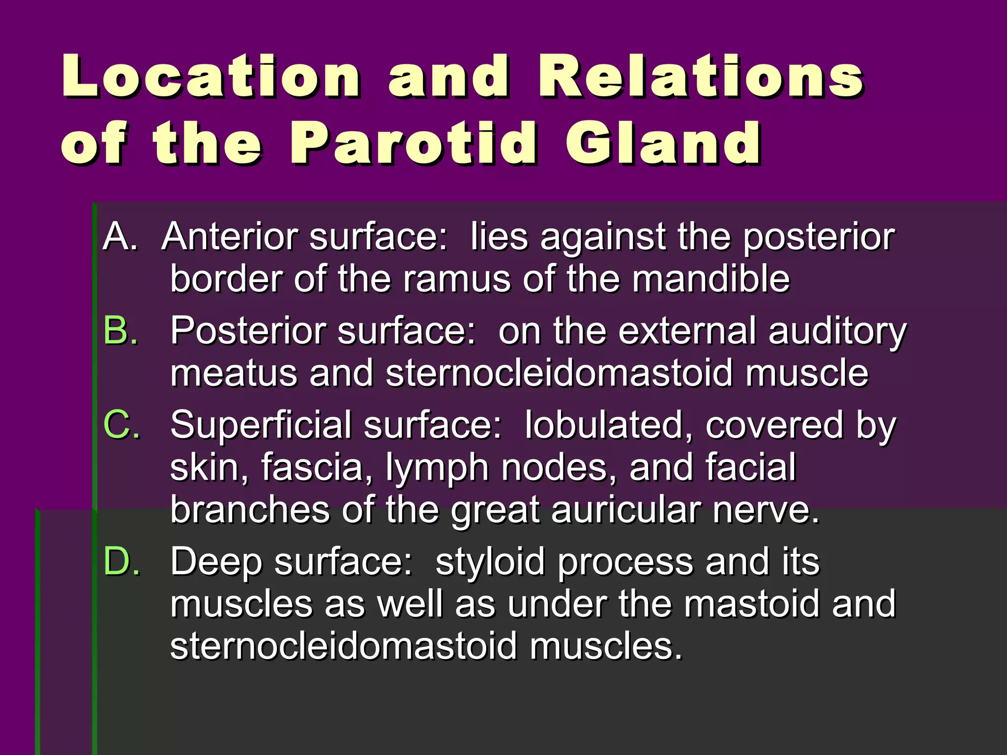 Salivary Glands | PPT