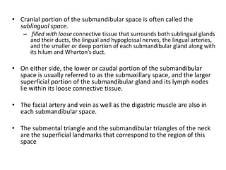 Salivary glands | PPTX