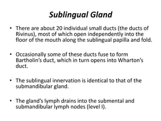 Salivary glands | PPTX