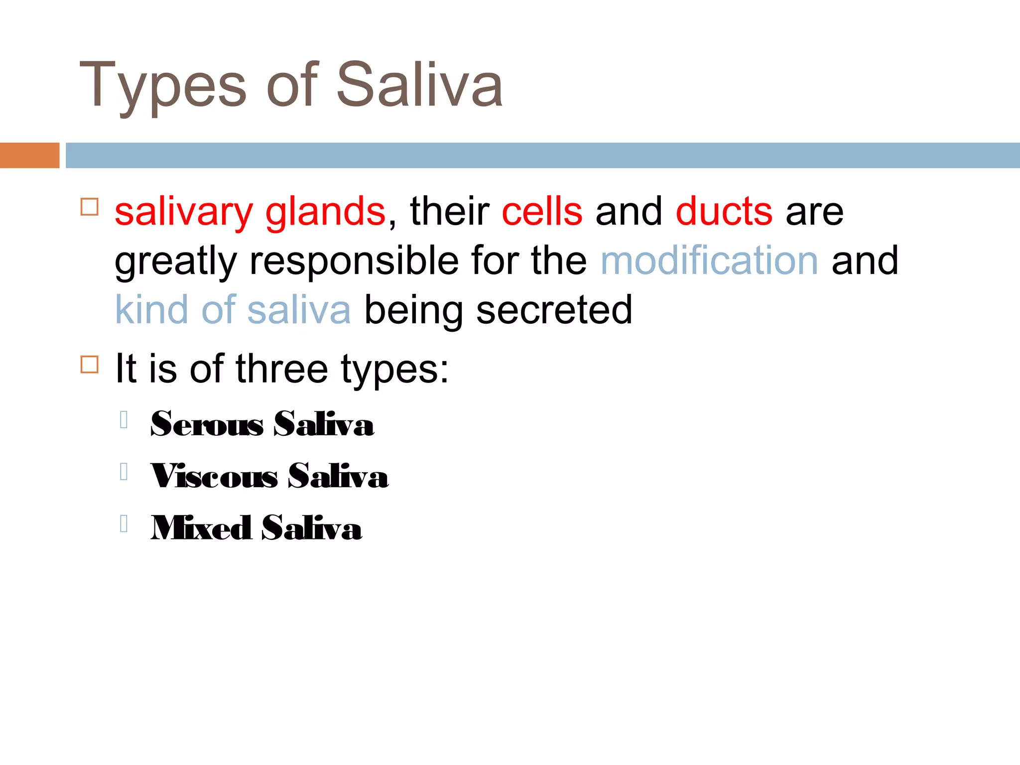 Salivary glands | PPT