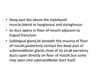 Salivary glands tumours | PPTX