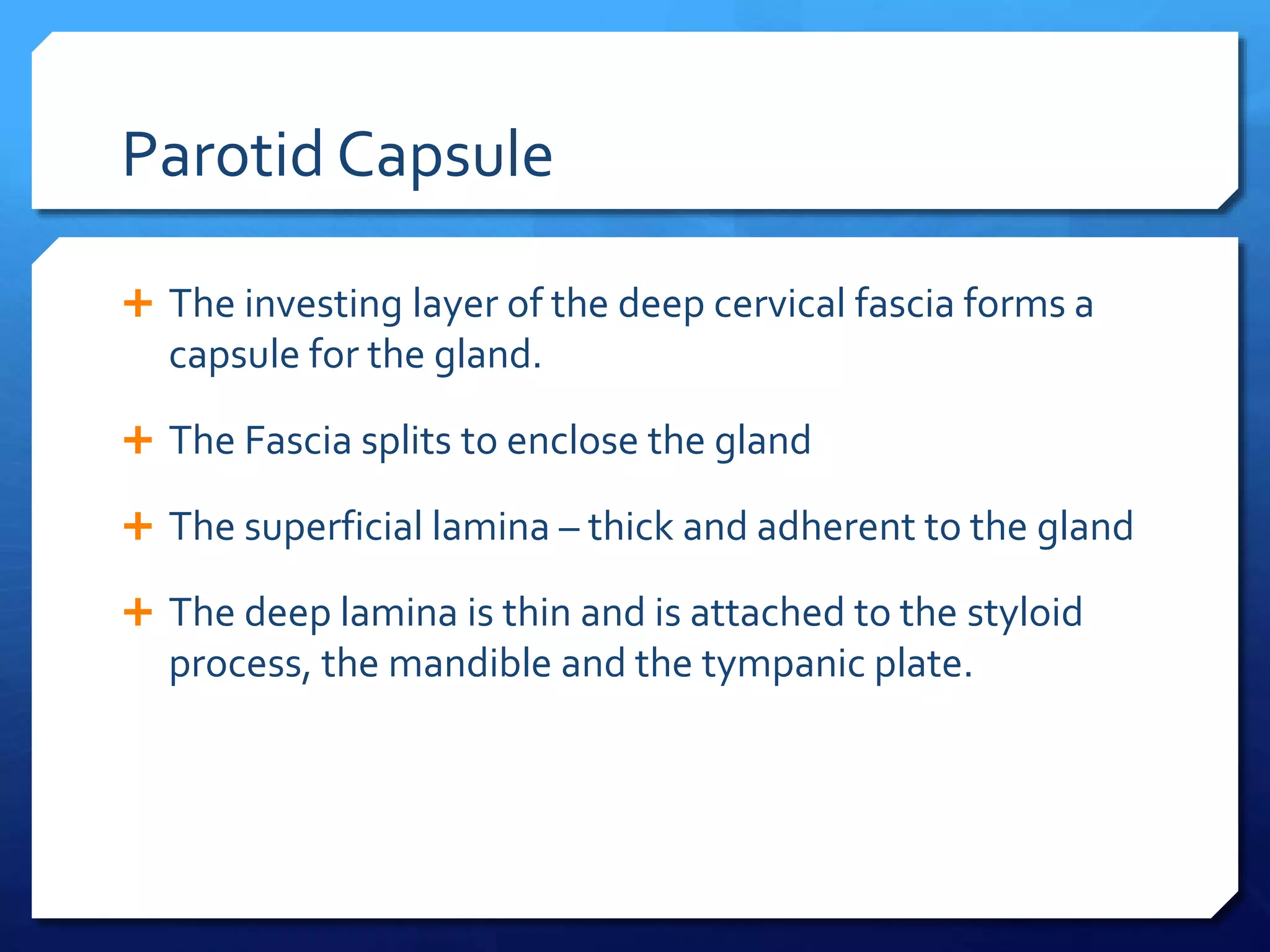 Salivary glands | PPTX