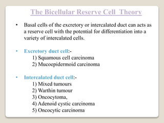 Salivary gland Tumors | PPTX