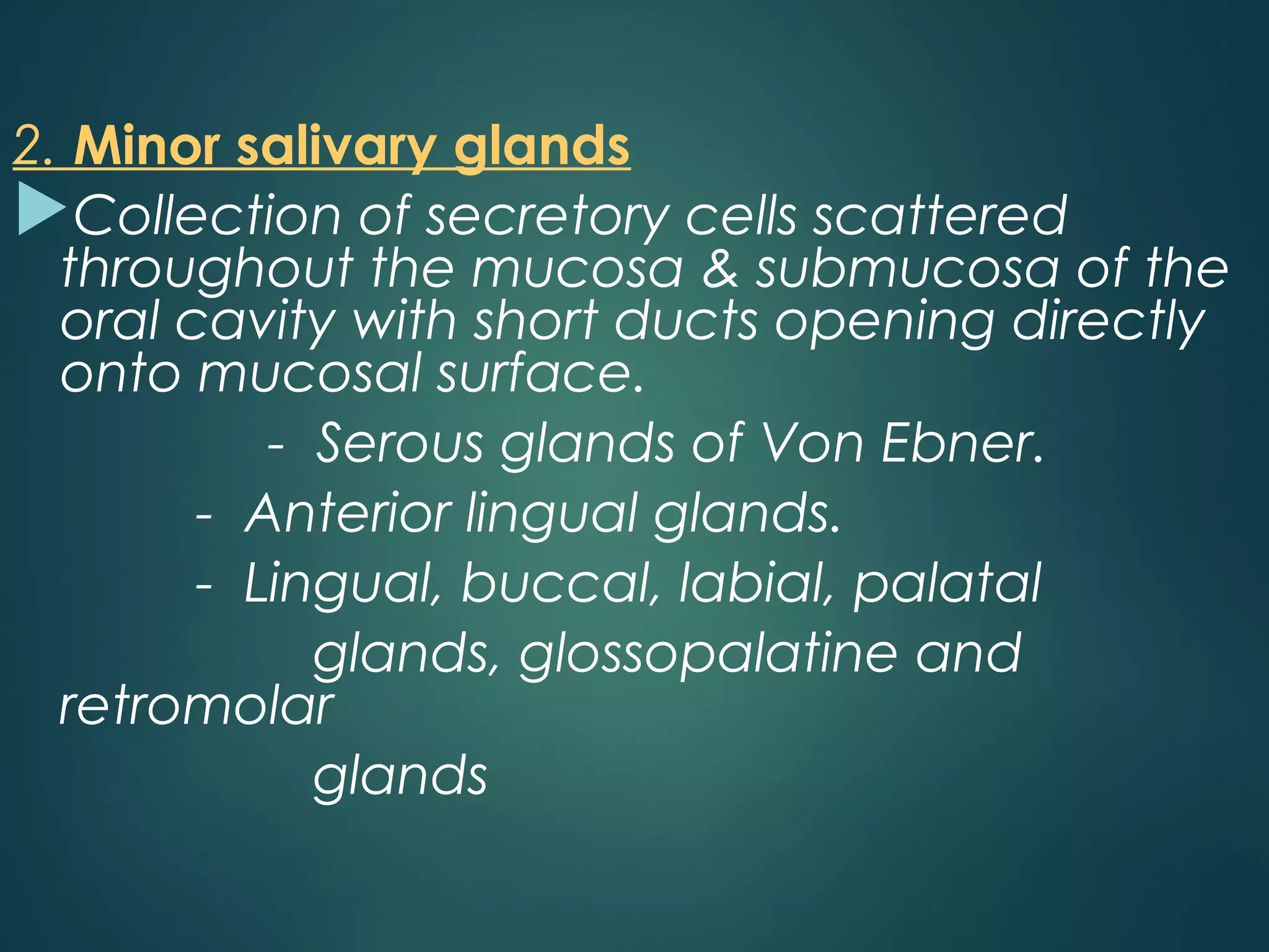Salivary glands | PPT